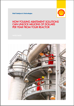 White Paper: Reactor Internals for Fouling Abatement