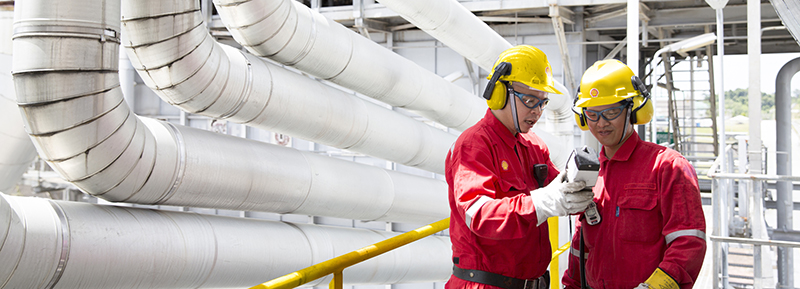 White Paper: Reactor Internals for Fouling Abatement